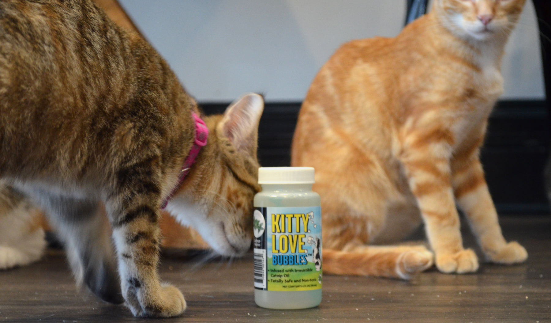 Pet Bubbles – Atomic Bubbles