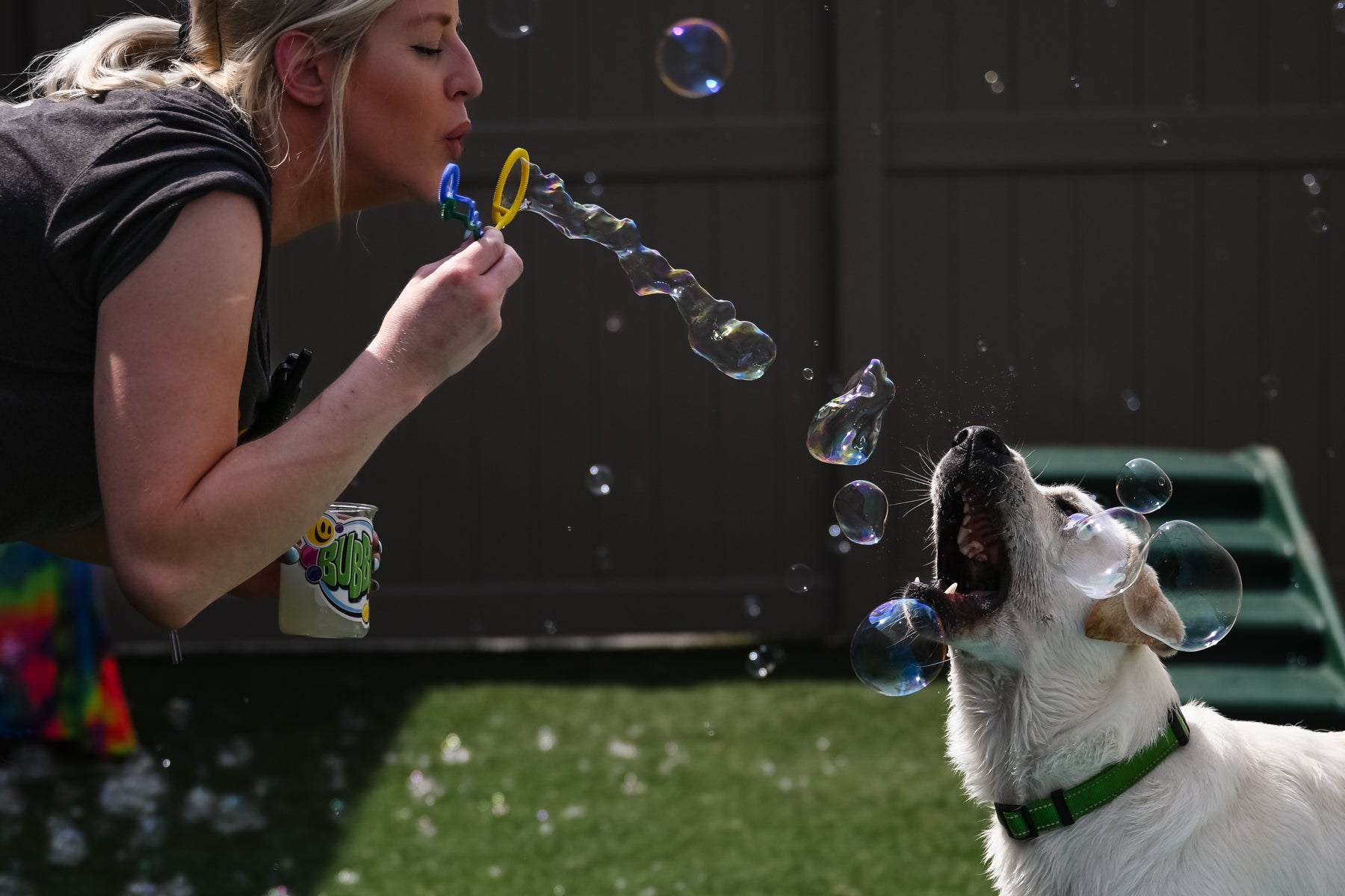 Puppy Love – Atomic Bubbles